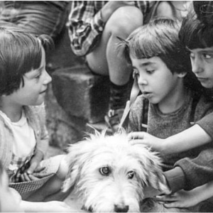 Ново място в София: DOT Sofia - GoGuide.bg