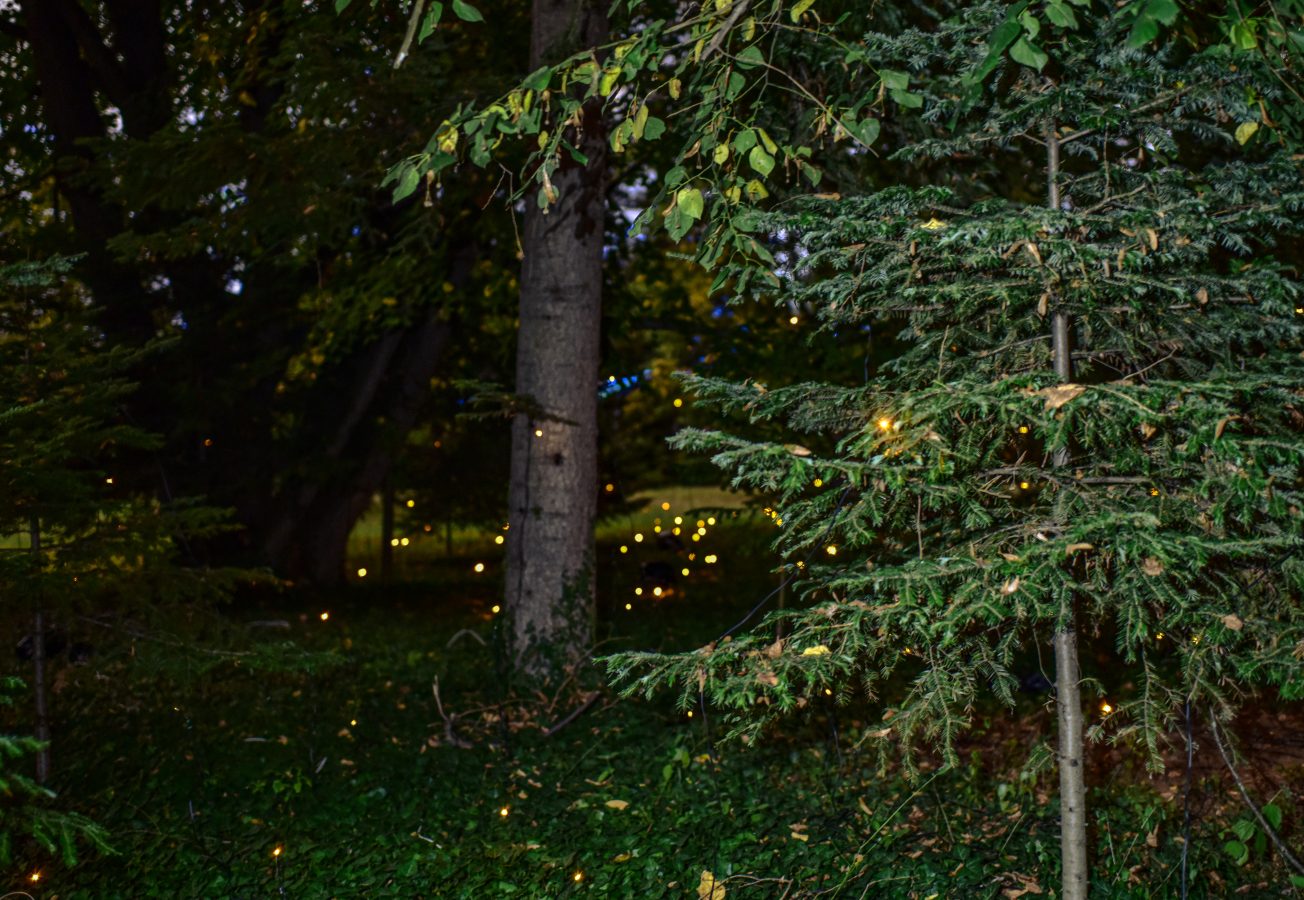 Sofia Lights 2023: в магията на светлината - GoGuide.bg